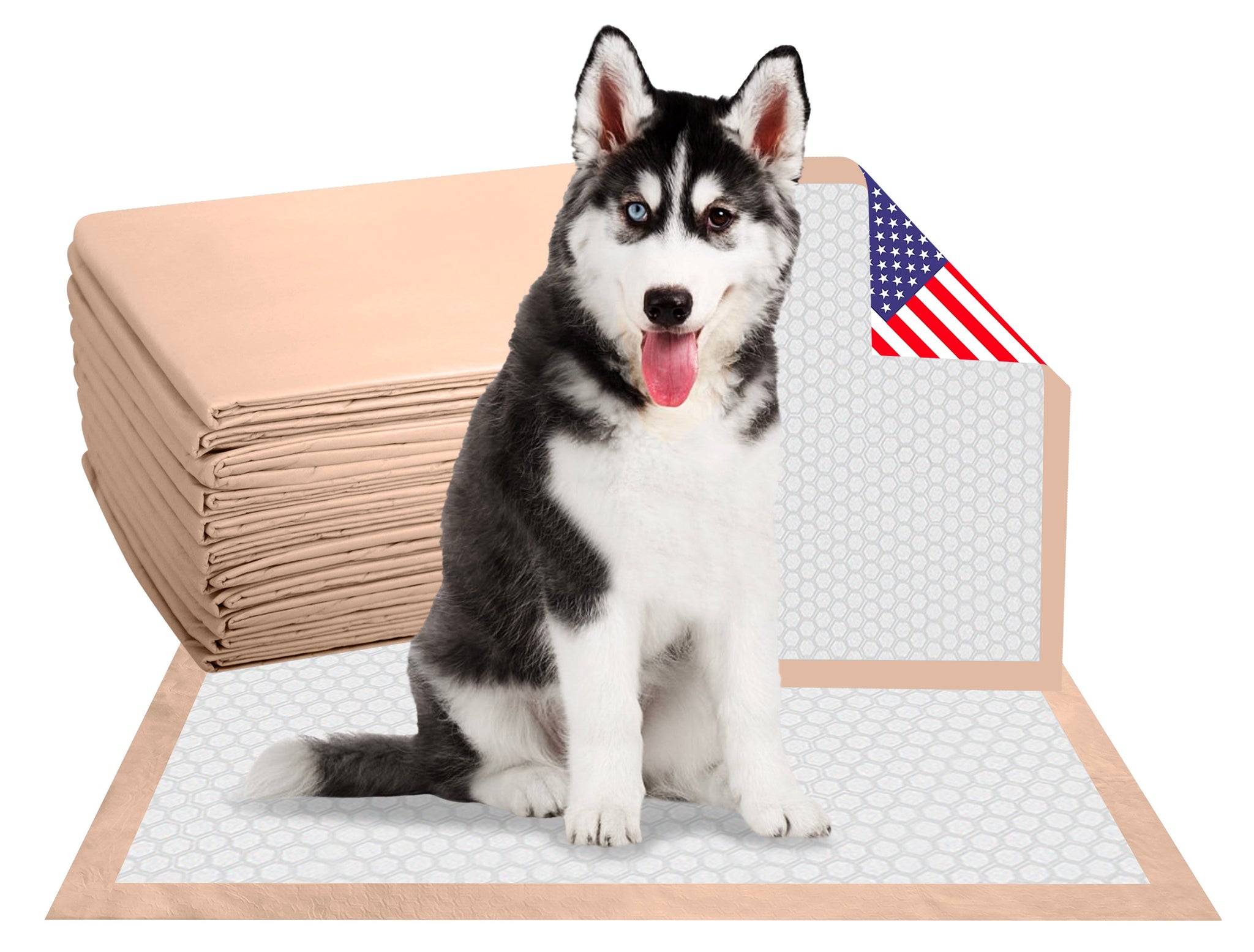 Wave Dog Potty Pads | Puppy Training Toilet Pads - PetPeePads.com